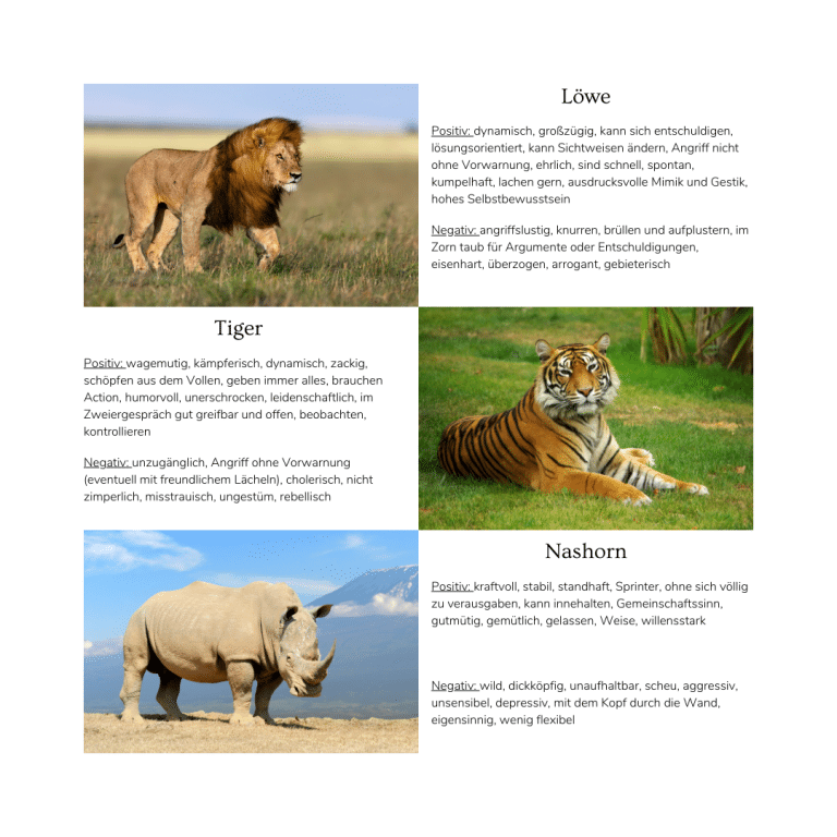 Gib mir Tiernamen … - Aline Kramer Arbeit mit Tiermetaphern